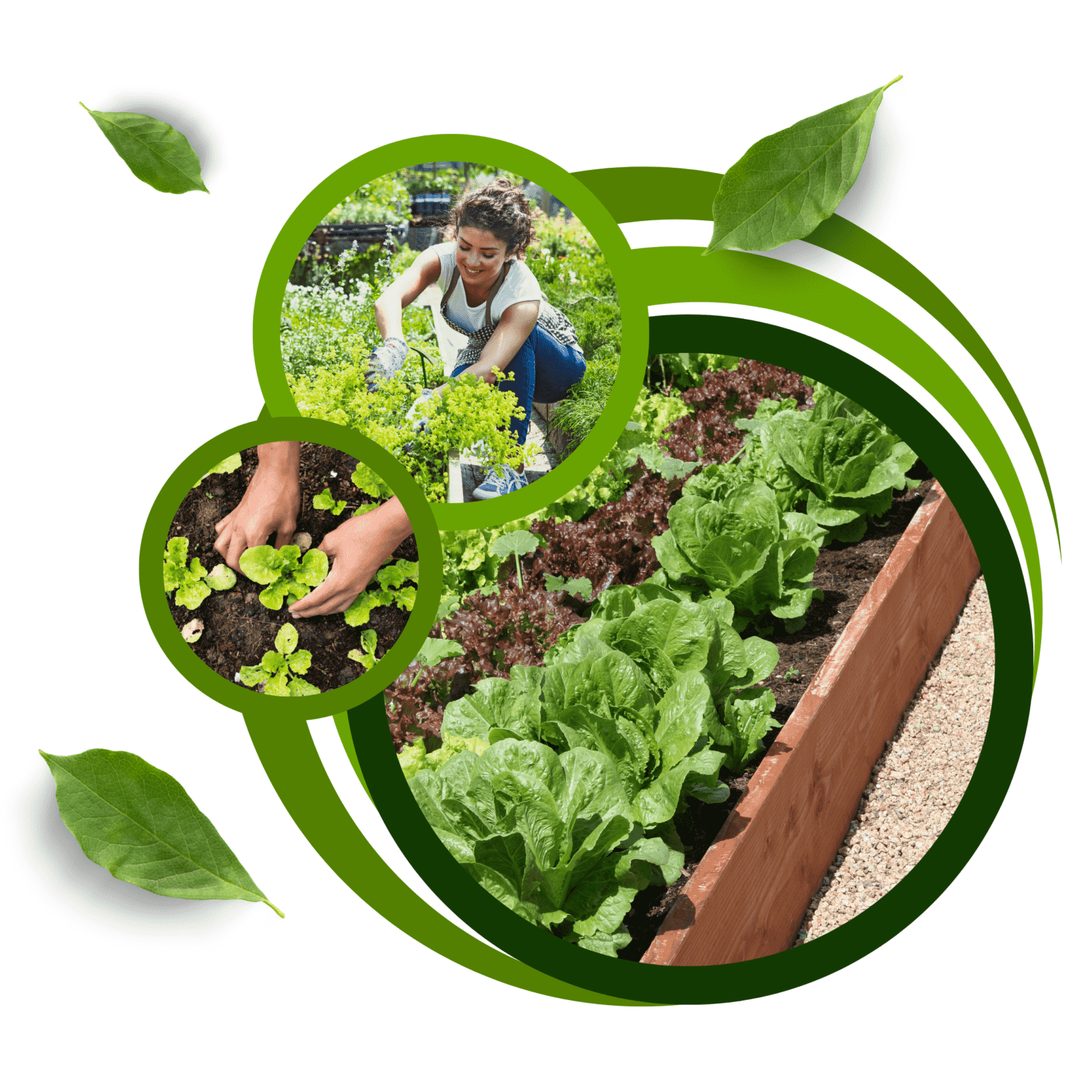 Garden Plan Bundle - Organic Backyard Gardening