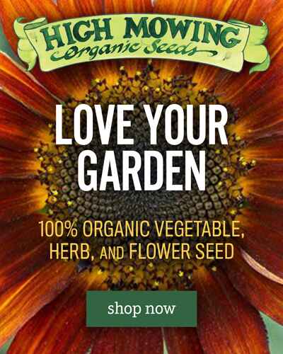 Choosing the Right Seeds for Your Garden: A Complete Guide